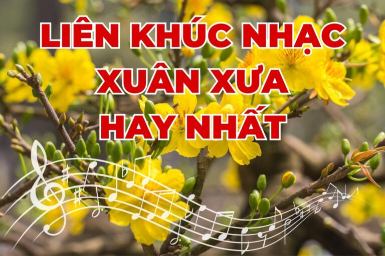 25+ Bài NHẠC TẾT tuyển chọn hay nhất mọi thời đại
