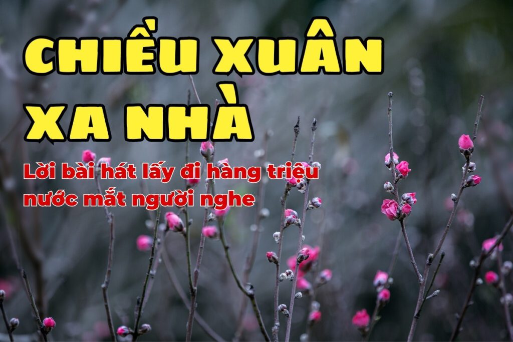 25+ Bài NHẠC TẾT tuyển chọn hay nhất mọi thời đại